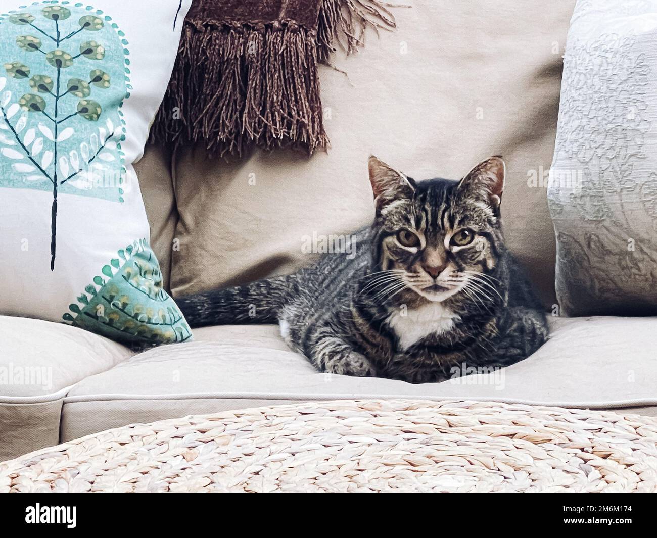 Portrait beautiful female home hi-res stock photography and images - Alamy