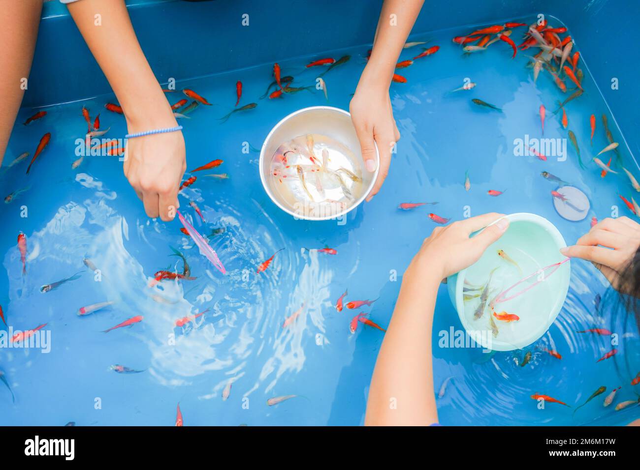 Image of goldfish salvation of fair Stock Photo - Alamy