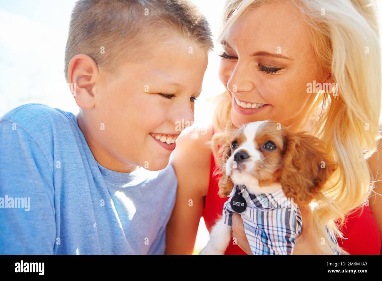 Ron Dexter's Instagram, Twitter & Facebook on IDCrawl