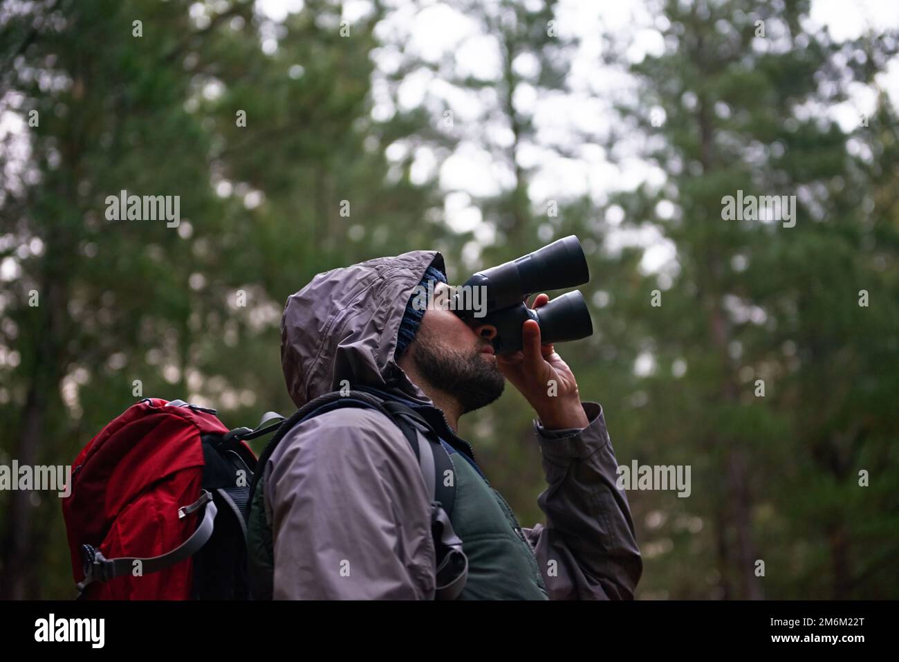 Looking for that special bird. Handsome man using his binoculars to ...