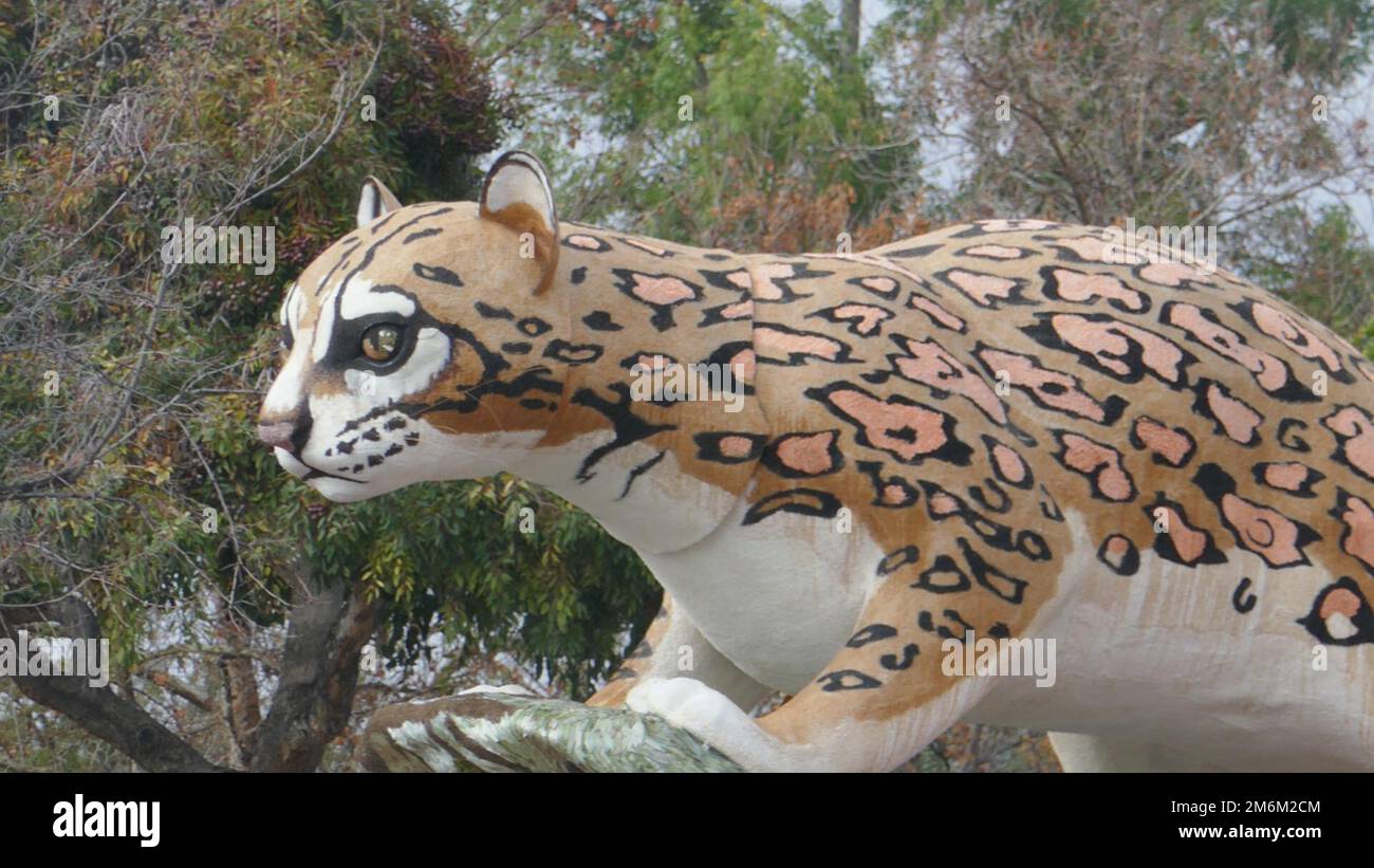 Pasadena, California, USA 3rd January 2023 Ocelot on Welcome to the ...