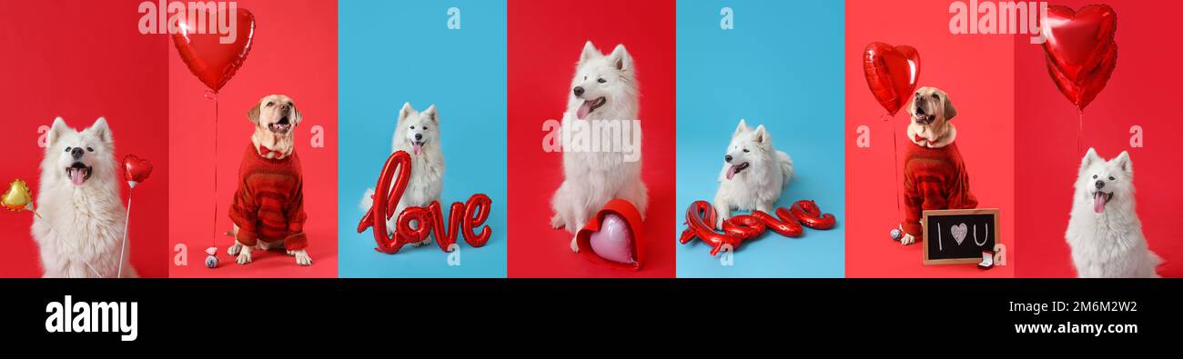 Collage with cute dogs and balloons on color background. Valentine's ...