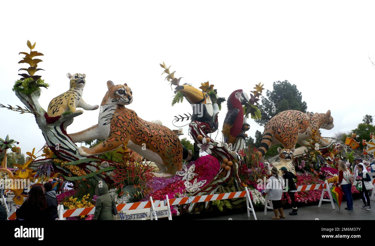 Pasadena, California, USA 3rd January 2023 Ocelot on Welcome to the ...
