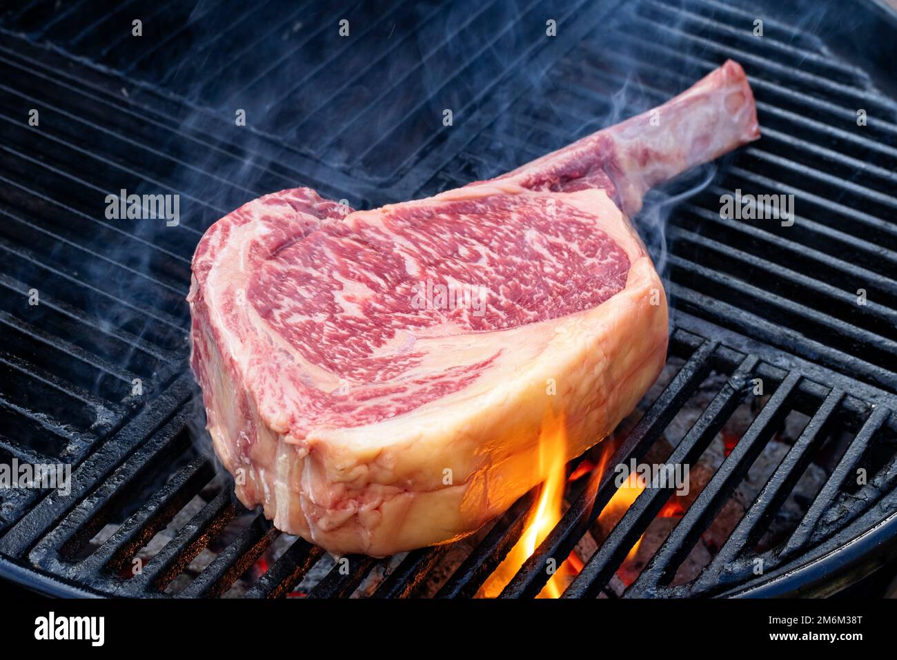 Raw dry aged Wagyu tomahawk steak offered as close-up on a charcoal ...