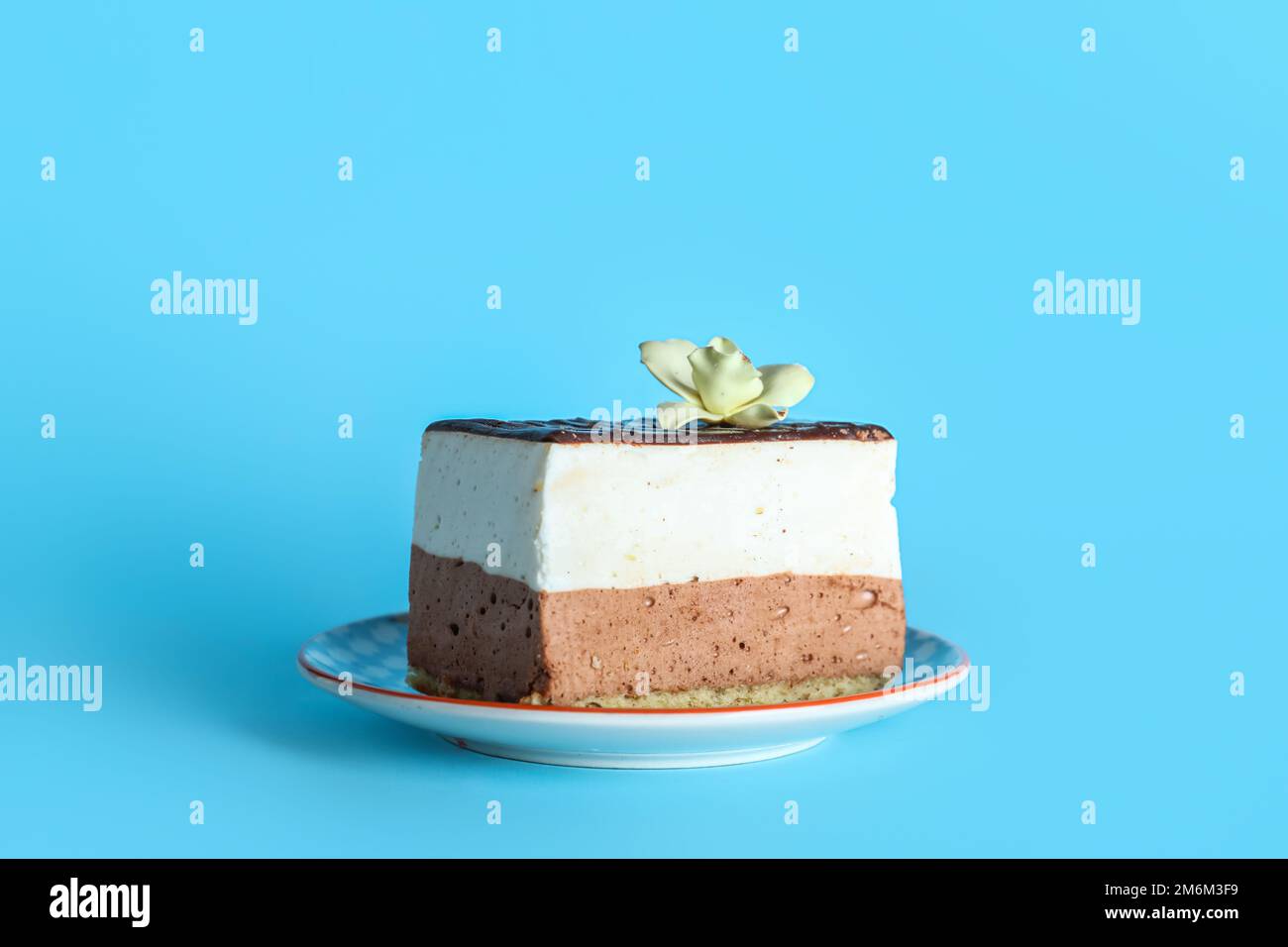 Plate with piece of birds milk cake and vanilla flower on blue ...