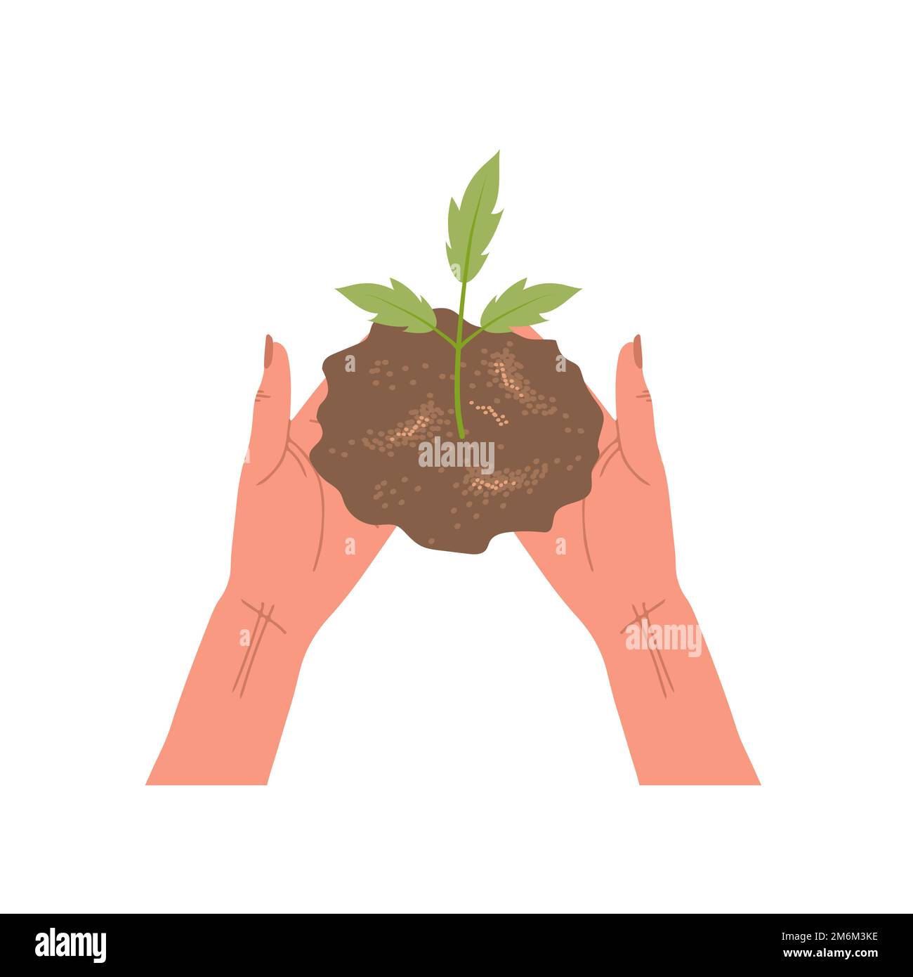 Planting sapling. Female farmer holding soil with sprout in hand ...