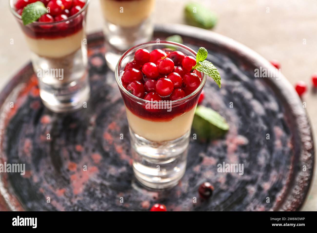 Plate with shots of delicious pudding, cranberry, mint and jam on light ...