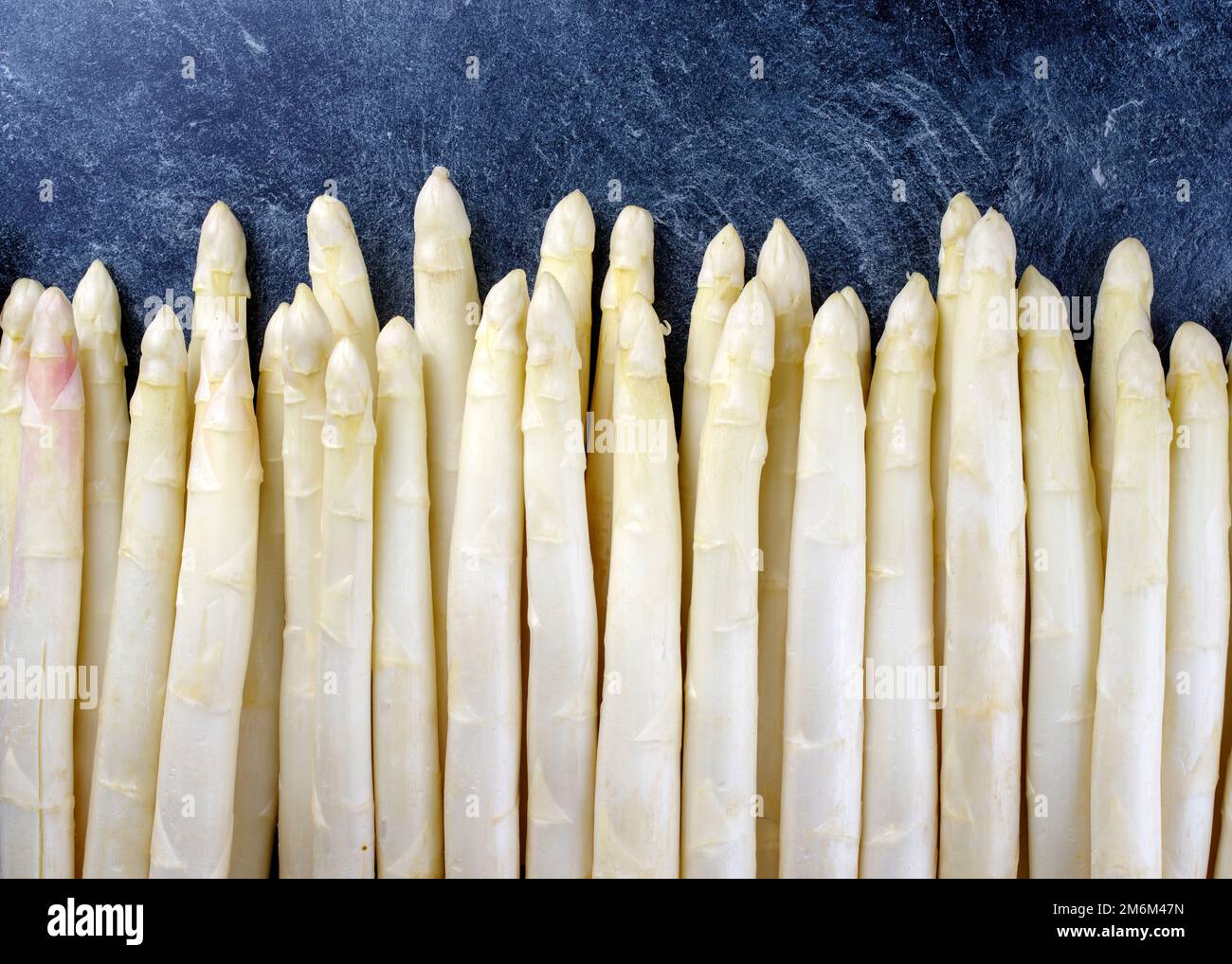 Raw white Asparagus beaded in a row as close-up with copy space on top ...