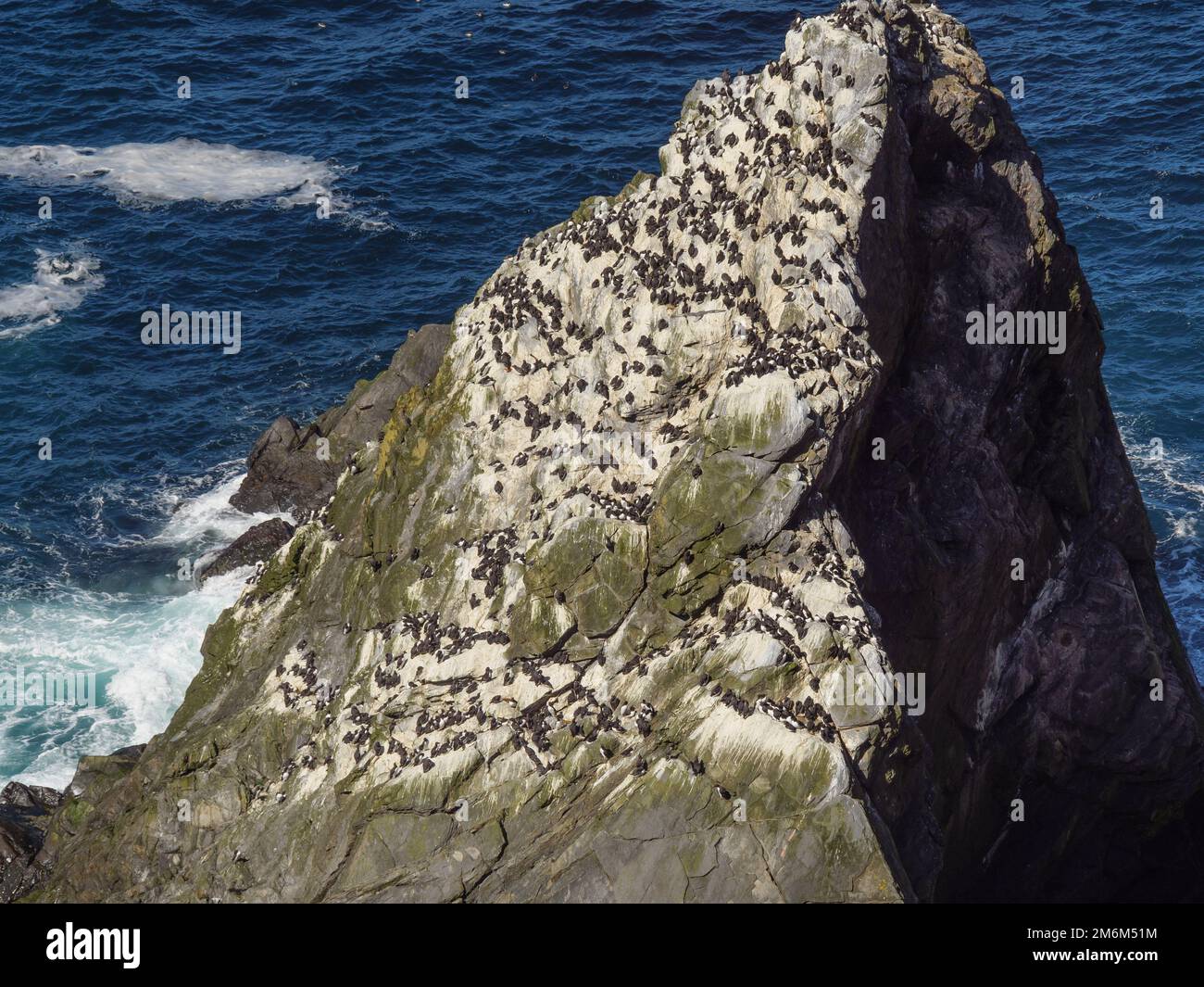 Shetlands island landscape hi-res stock photography and images - Alamy