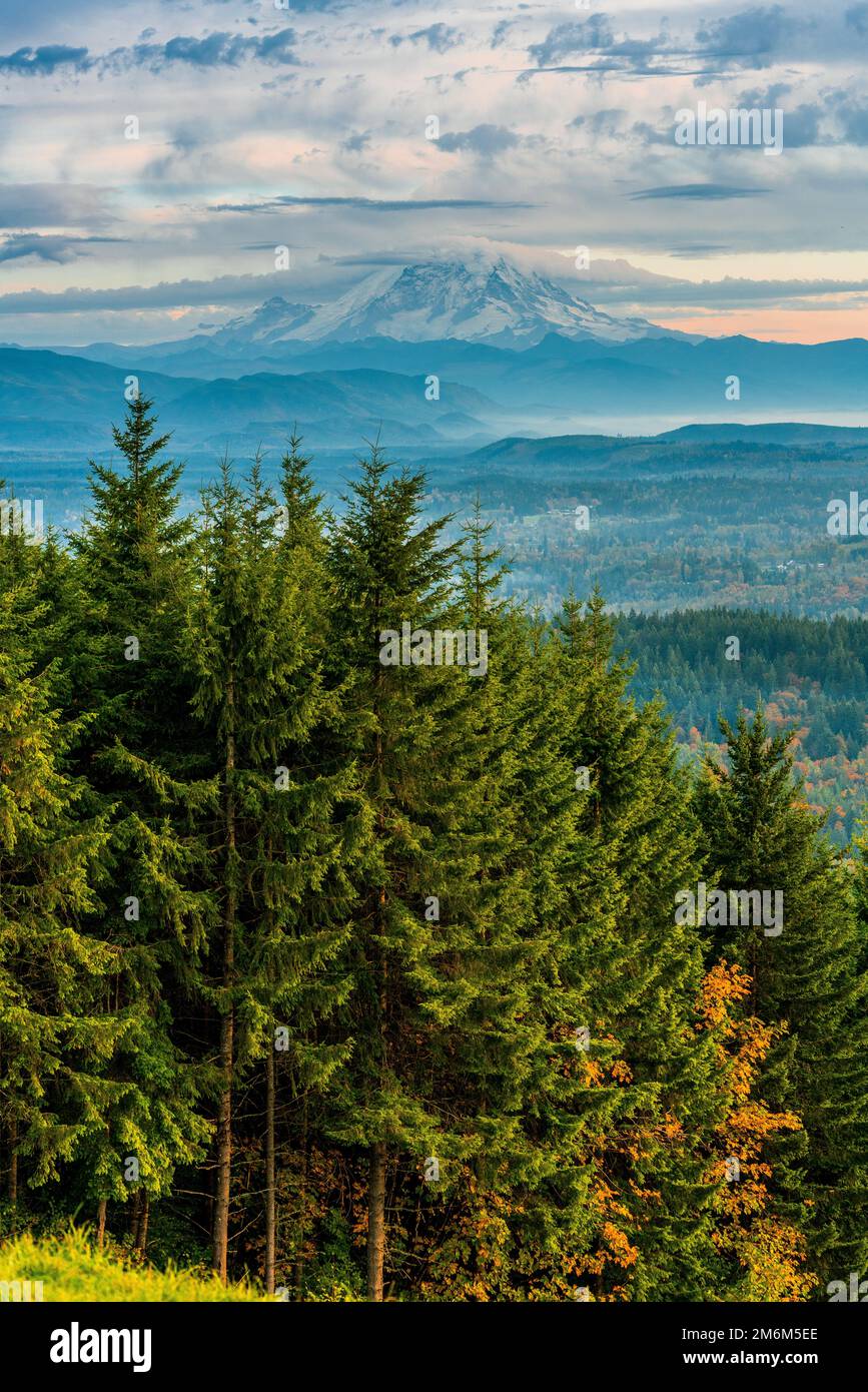 Washington's mount Rainier national park Stock Photo - Alamy