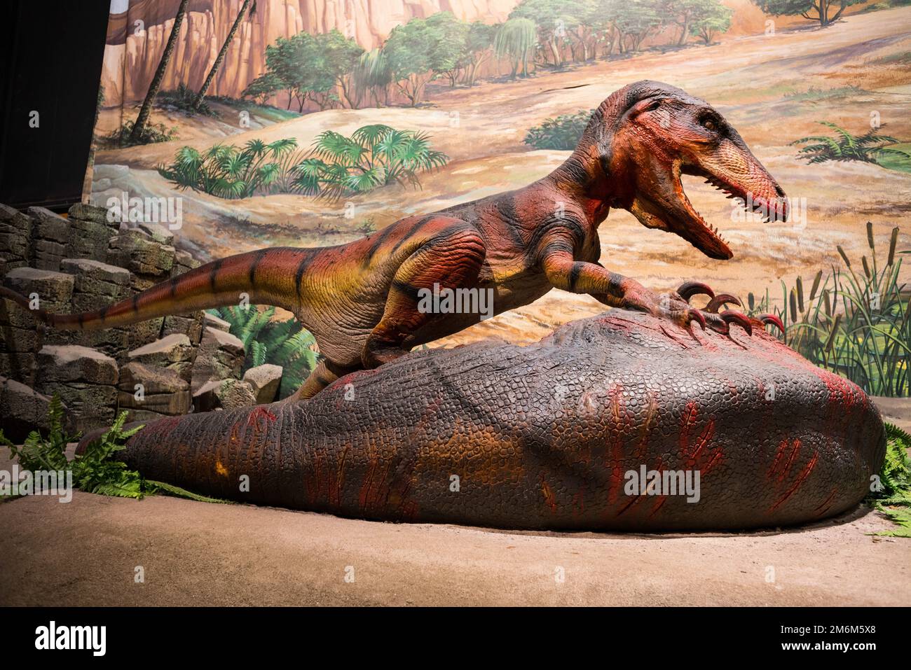 Seattle Pacific science center dinosaur models Stock Photo - Alamy