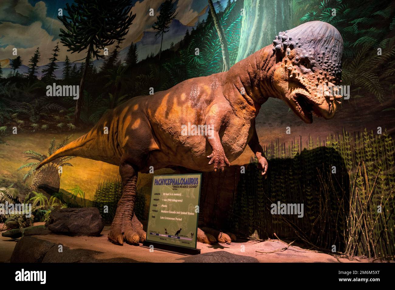 Seattle Pacific science center dinosaur models Stock Photo - Alamy
