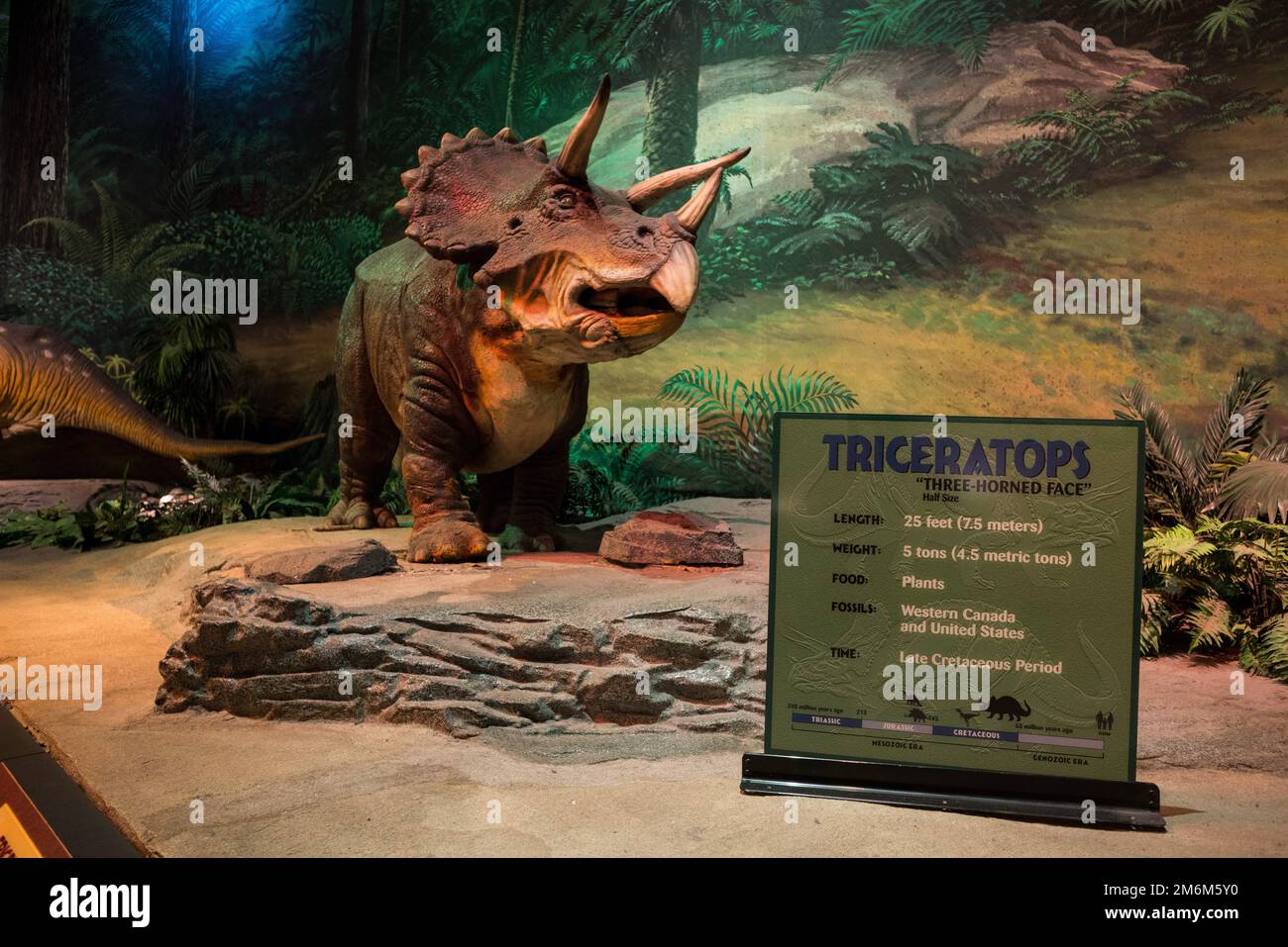 Seattle Pacific science center dinosaur models Stock Photo - Alamy