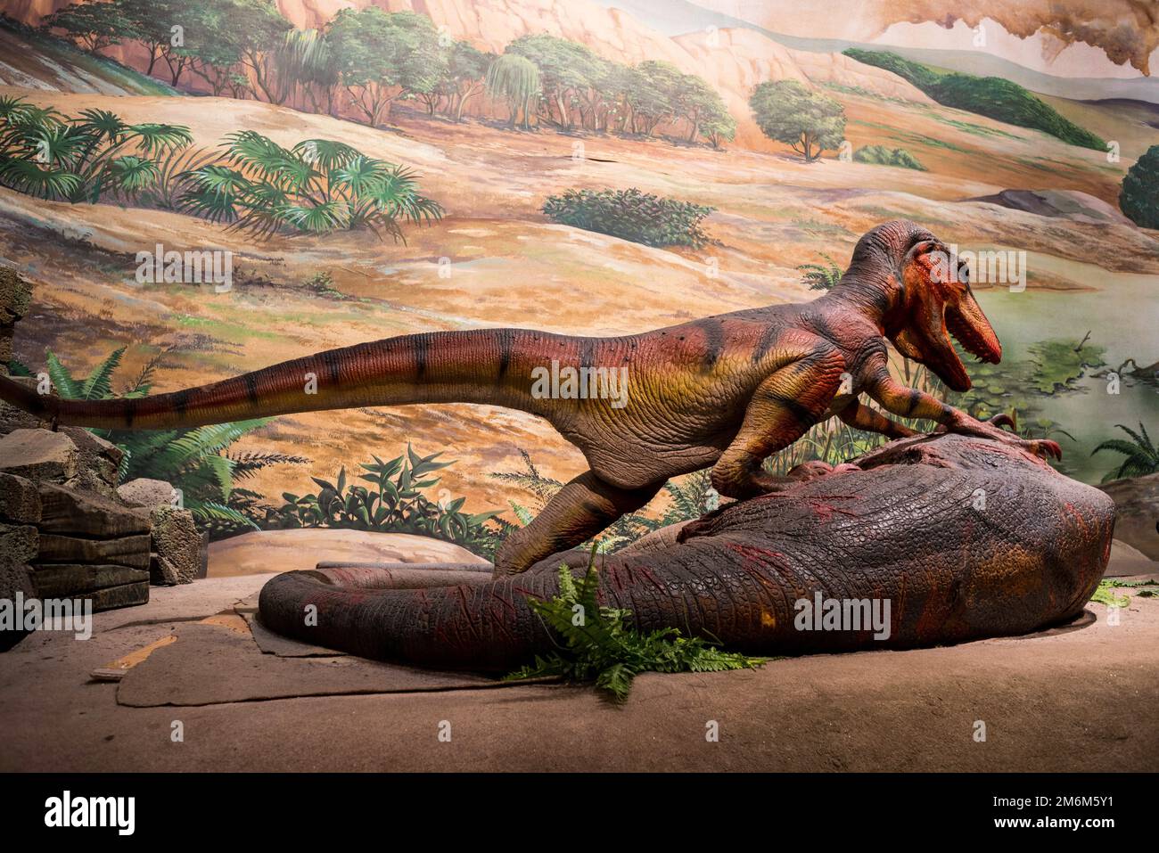 Seattle Pacific science center dinosaur models Stock Photo - Alamy