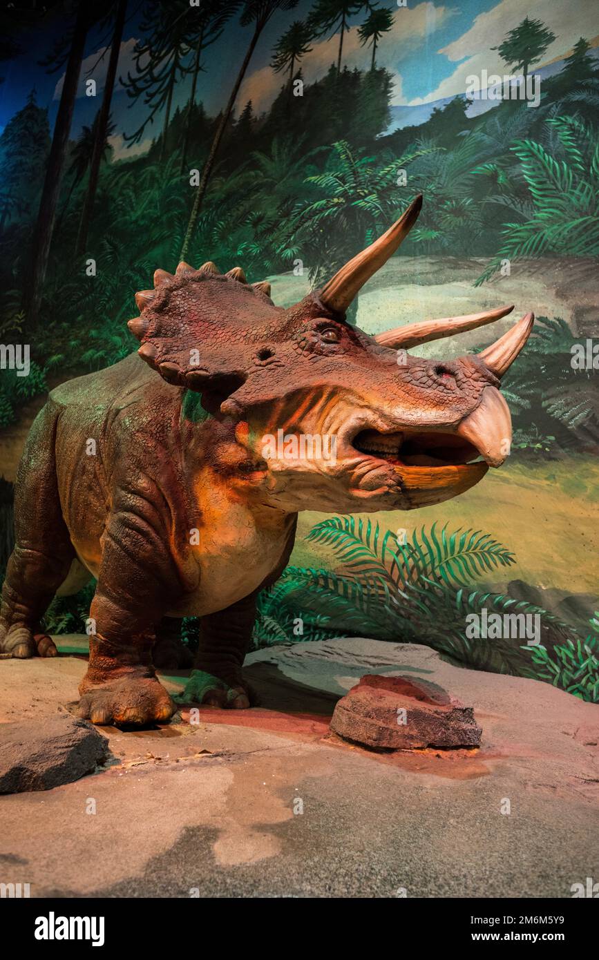 Seattle Pacific science center dinosaur models Stock Photo - Alamy