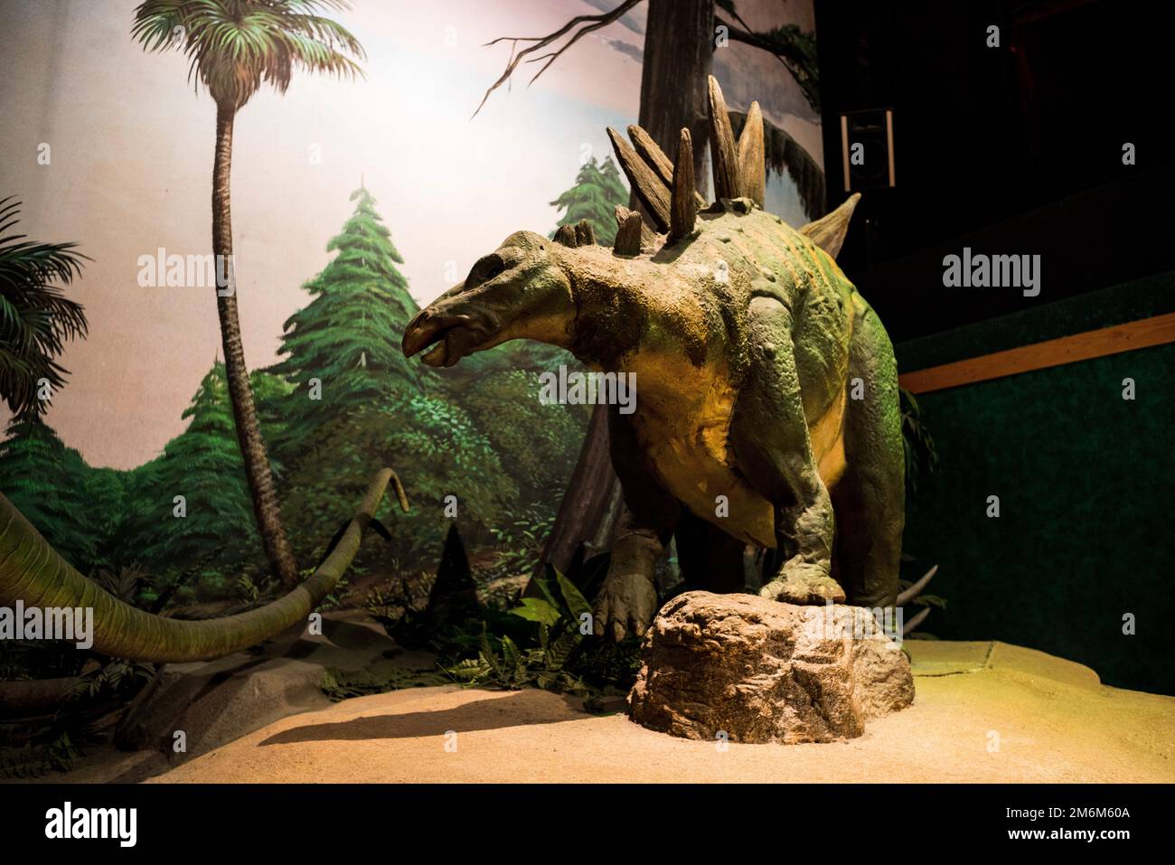 Seattle Pacific science center dinosaur models Stock Photo - Alamy
