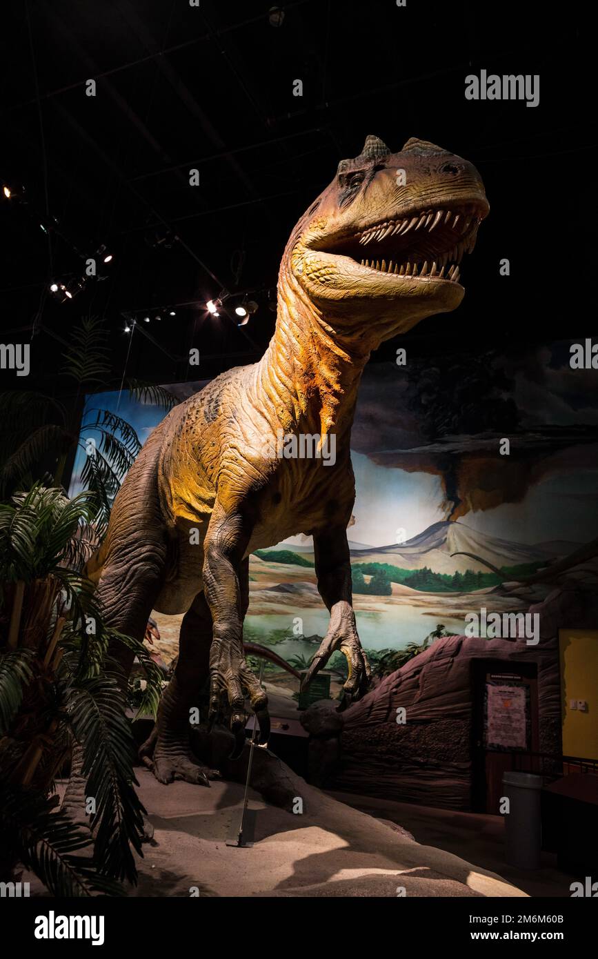 Seattle Pacific science center dinosaur models Stock Photo - Alamy