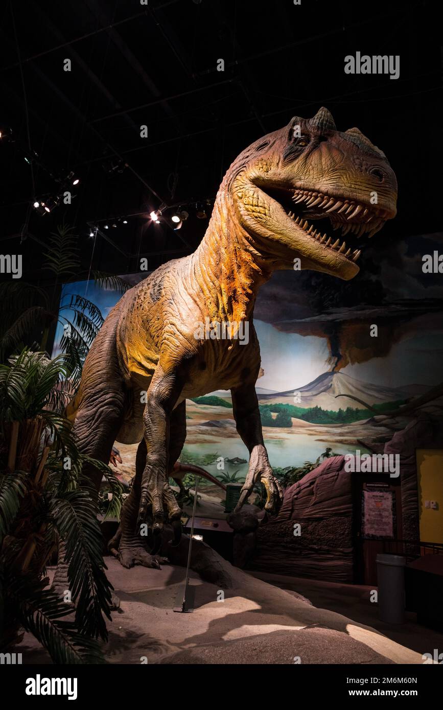 Seattle Pacific science center dinosaur models Stock Photo - Alamy