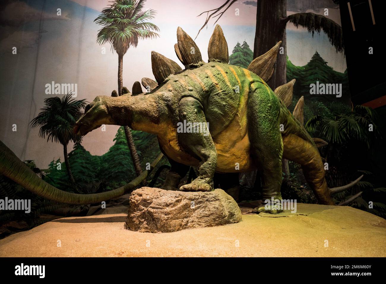 Seattle Pacific science center dinosaur models Stock Photo - Alamy