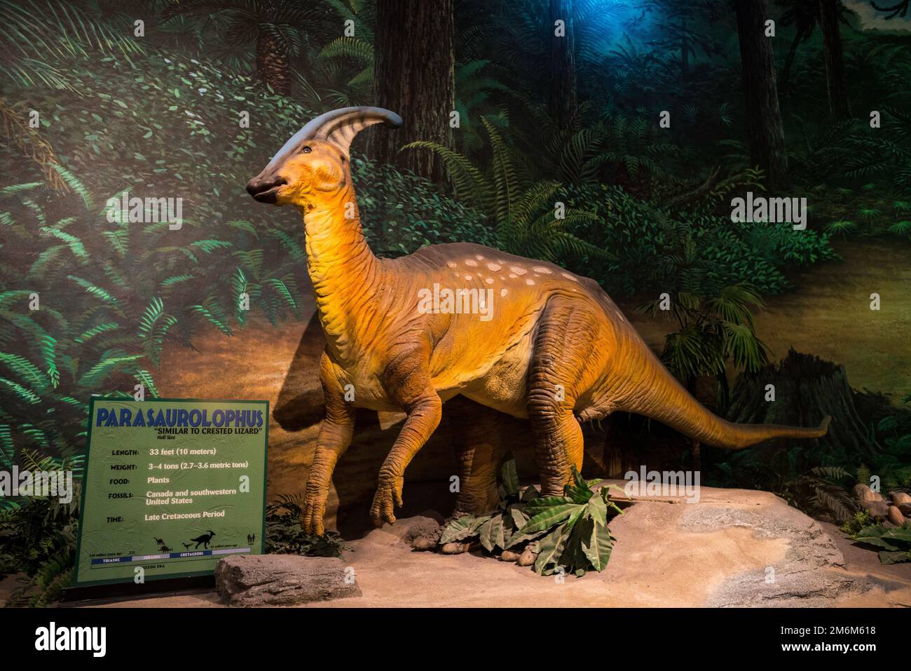 Seattle Pacific science center dinosaur models Stock Photo - Alamy