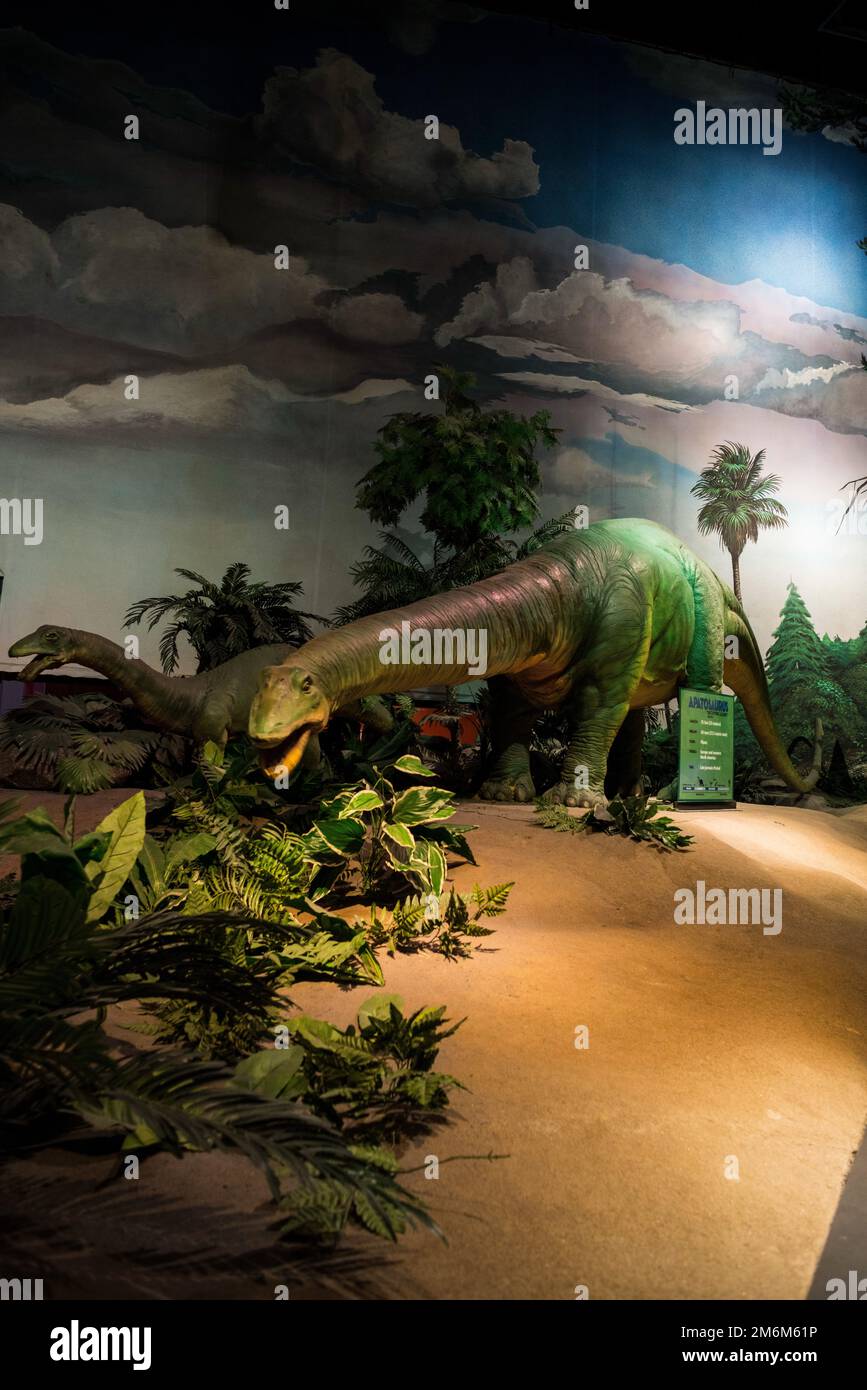Seattle Pacific science center dinosaur models Stock Photo - Alamy