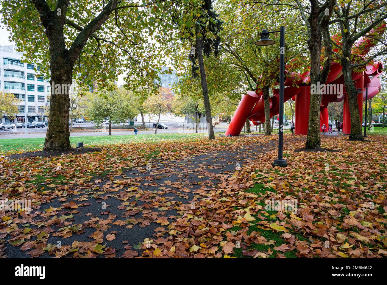 Wutong tree hi-res stock photography and images - Alamy