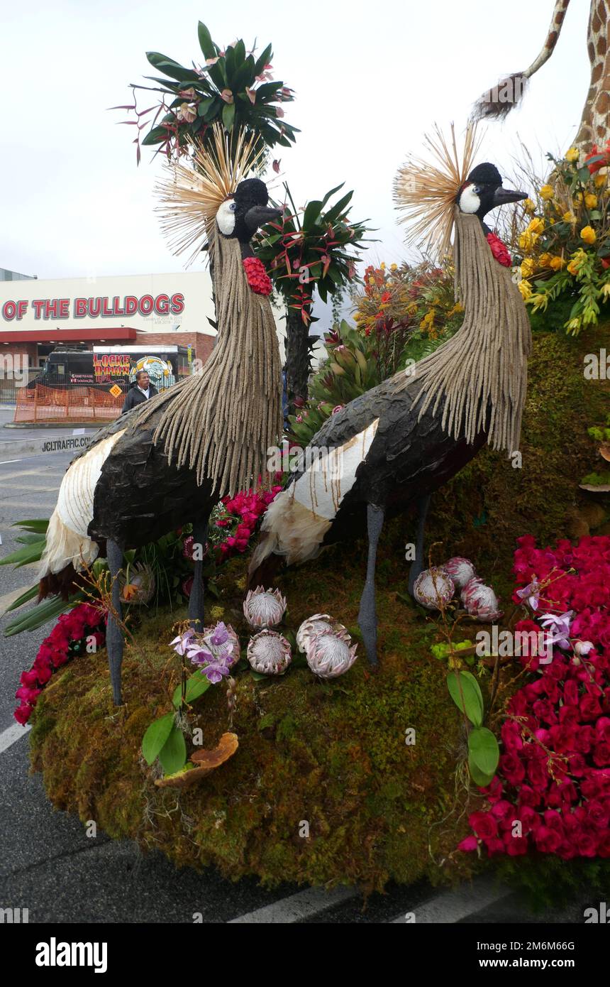 Pasadena, California, USA 3rd January 2023 San Diego Zoo Safari Park ...