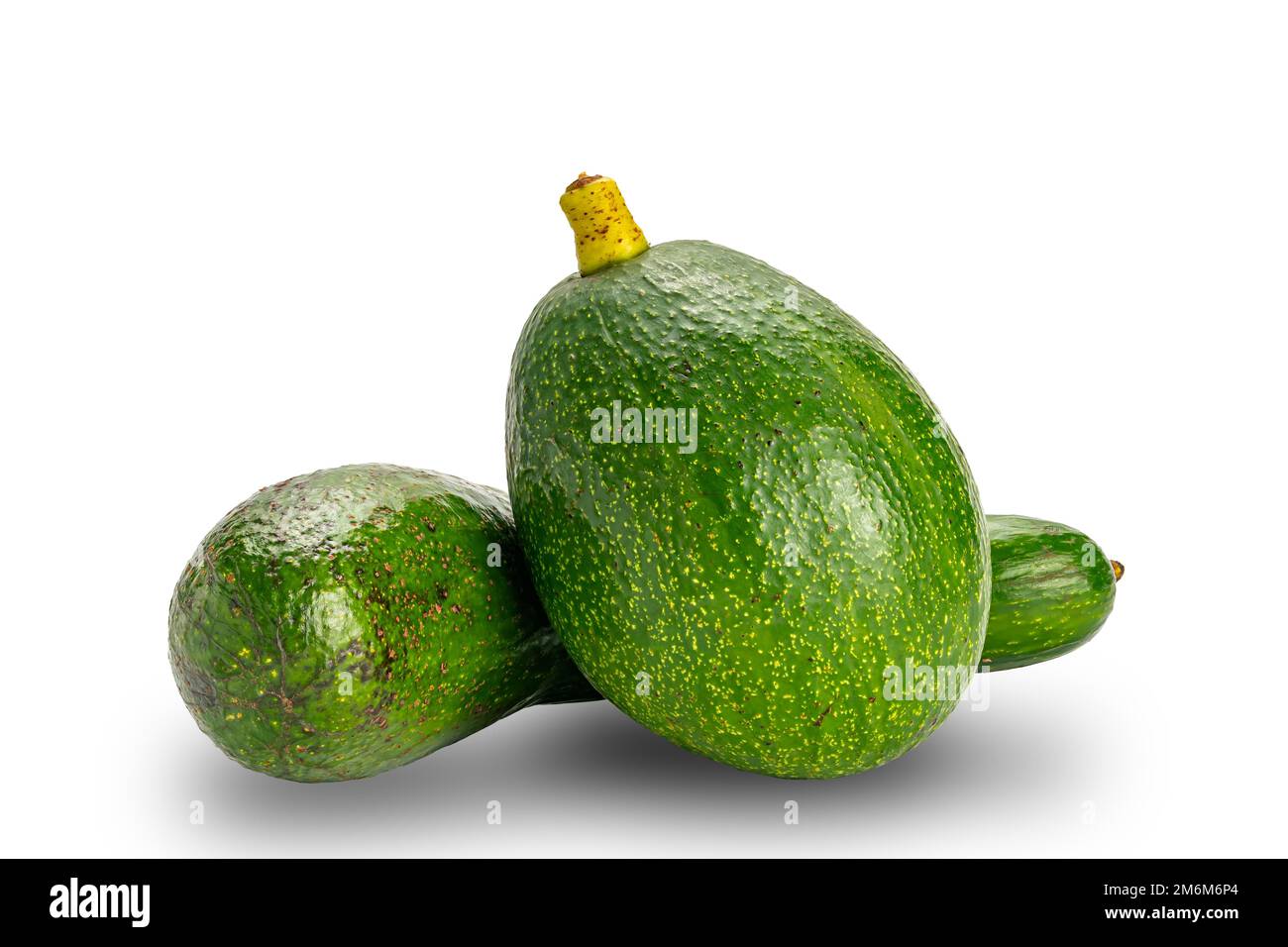 Two varieties of avocadoes fruit on white background Stock Photo - Alamy