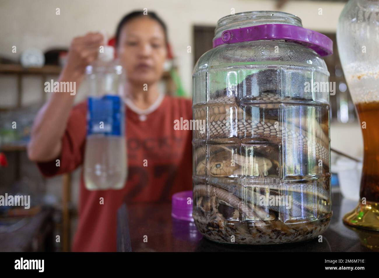 Viet Hai, Vietnam. 19th Nov, 2022. Dead snakes are preserved in a ...