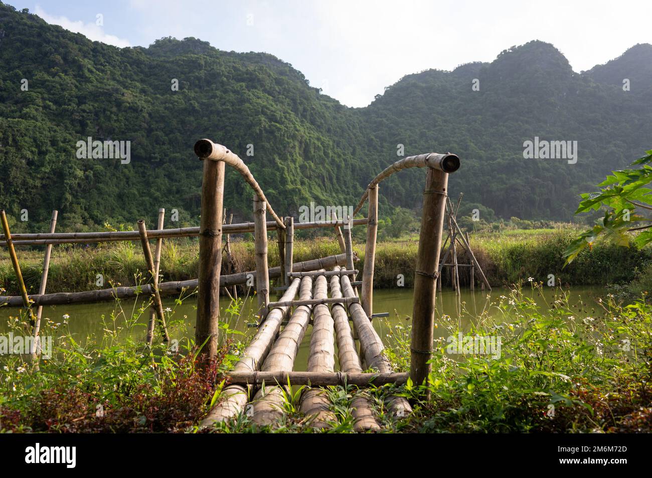 Viet Hai, Vietnam. 19th Nov, 2022. A bridge made of bamboo in front of ...