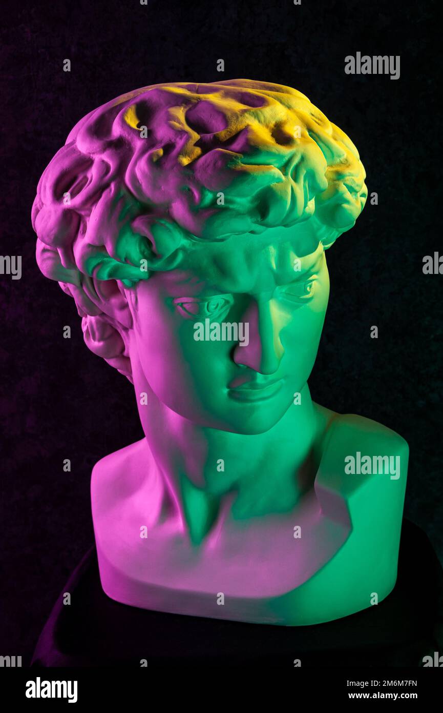 Gypsum copy of head statue David in bright neon colors for artists on a ...