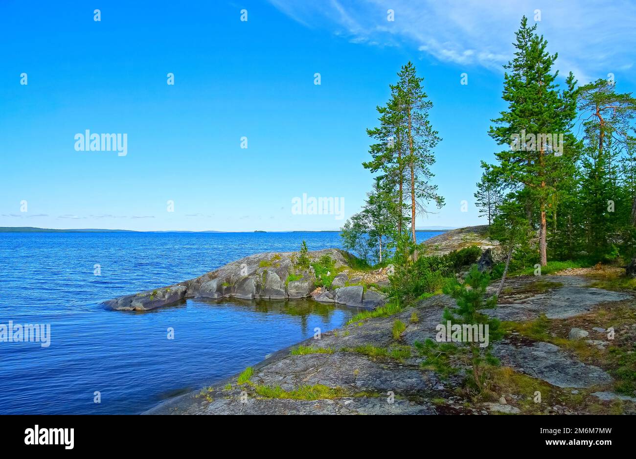 Pine trees on the granite shore of the polar lake Stock Photo - Alamy