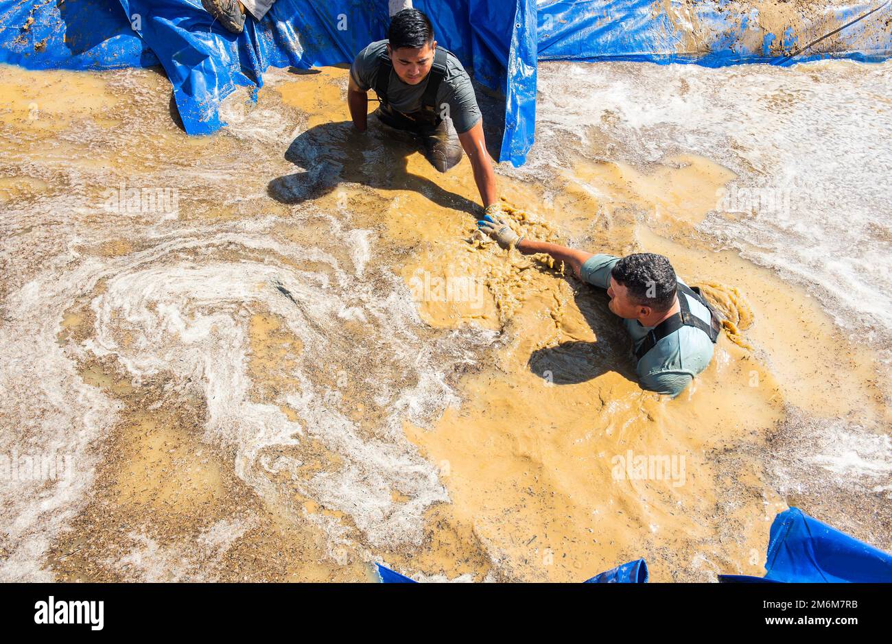 From left, U.S. Army Sgt. Clarence Balansi, a Defense POW/MIA ...