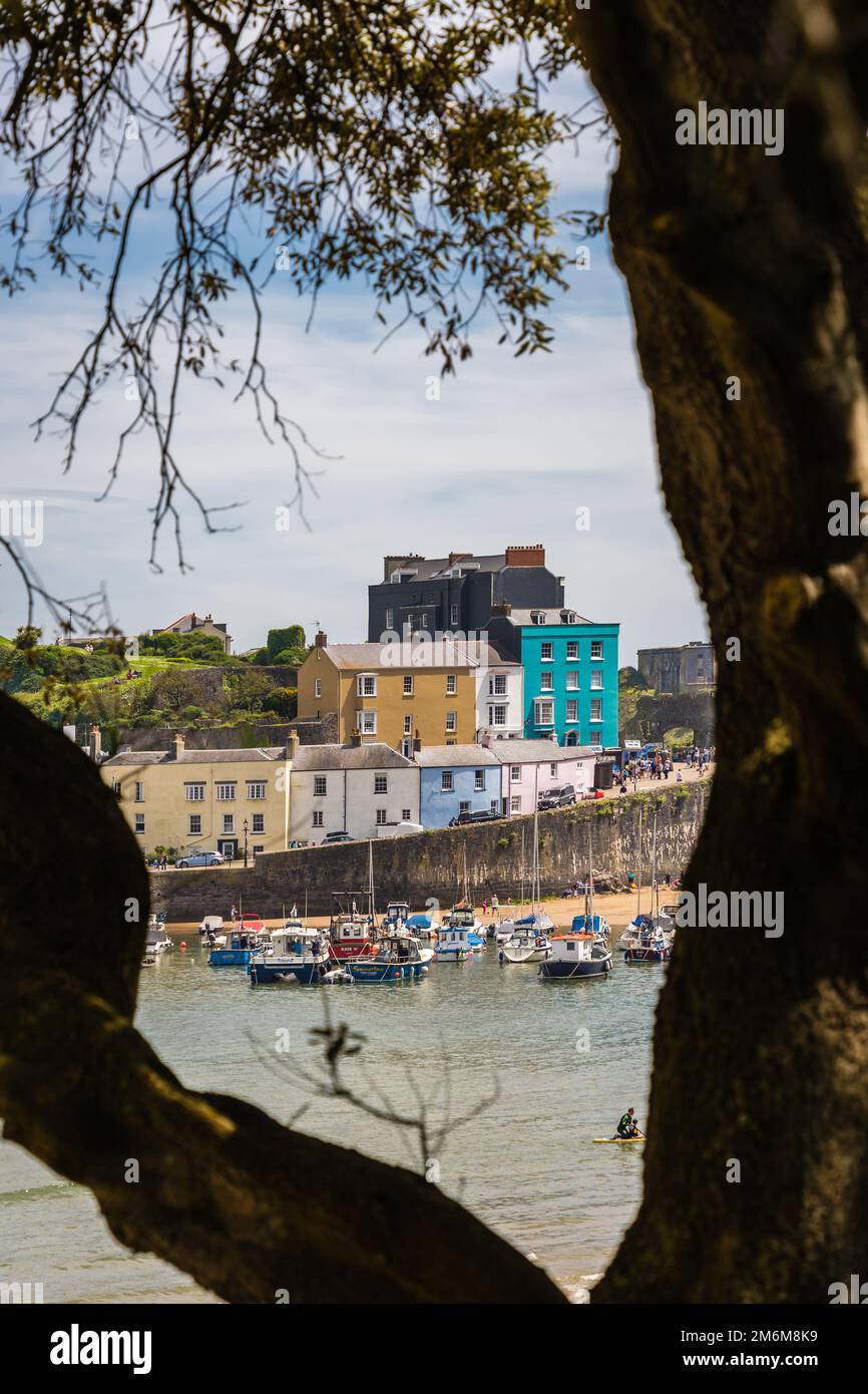 Colorful homes in a beautiful little Tenby town Stock Photo - Alamy