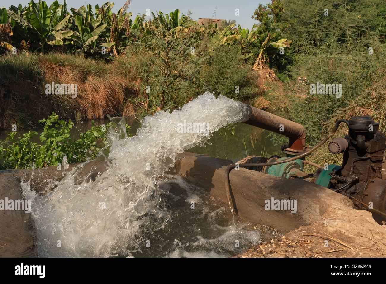 Water being pumped out of the River Nile into irrigation canals to feed ...