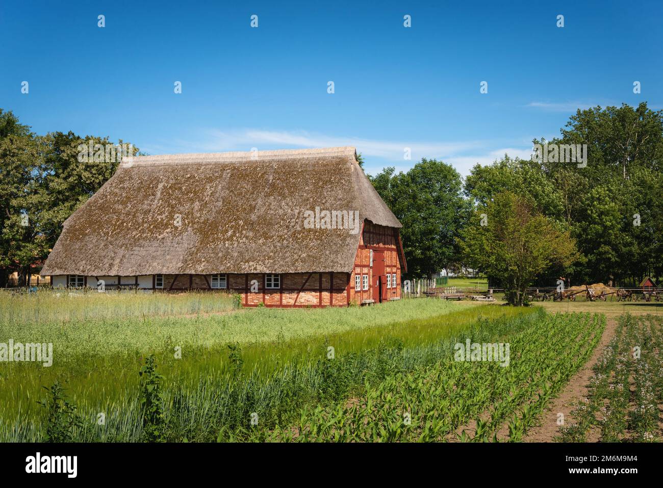 Beautiful house with a thatched roof on the Baltic Sea Stock Photo - Alamy
