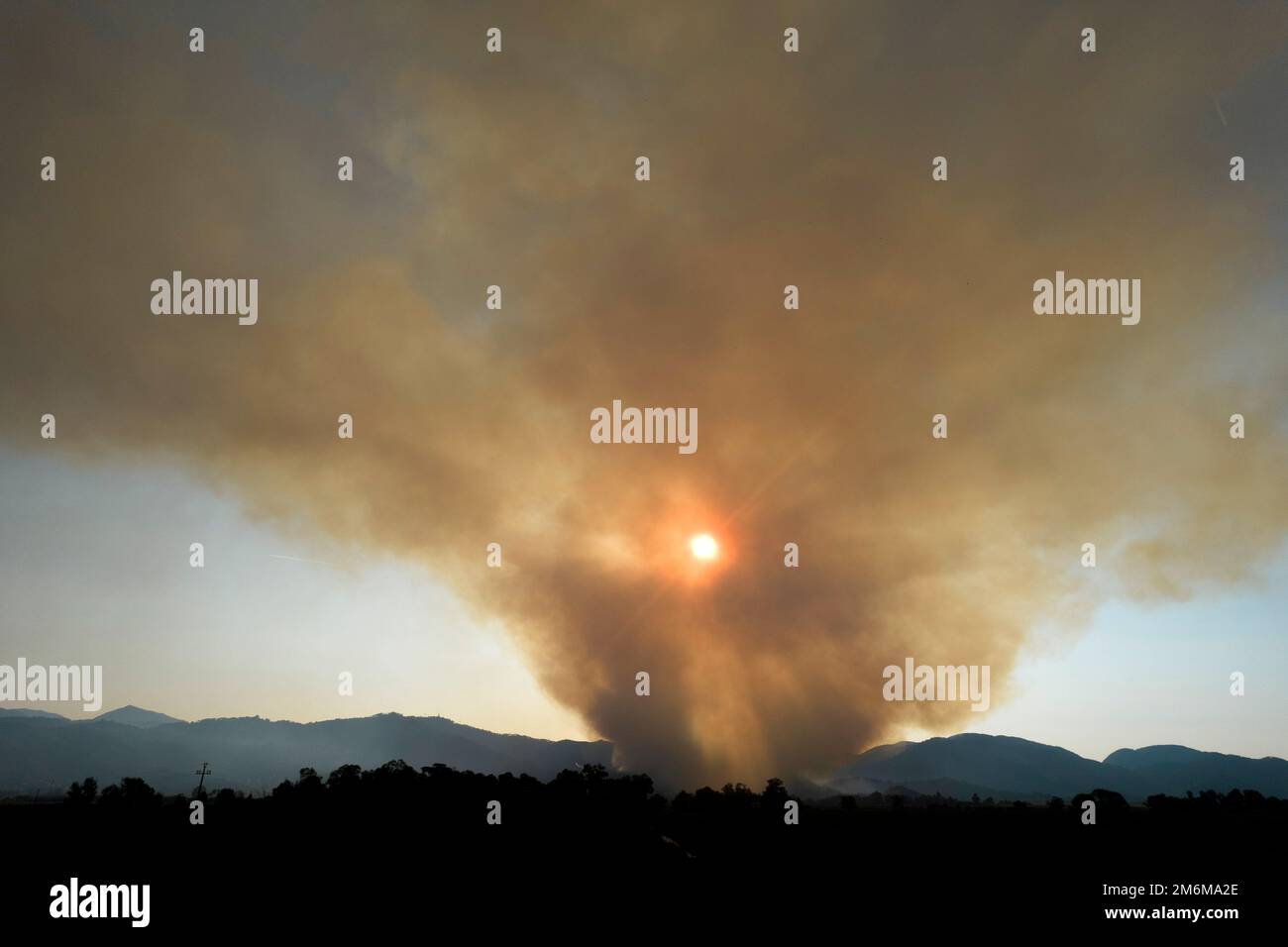 Large column of smoke from a forest fire Stock Photo - Alamy
