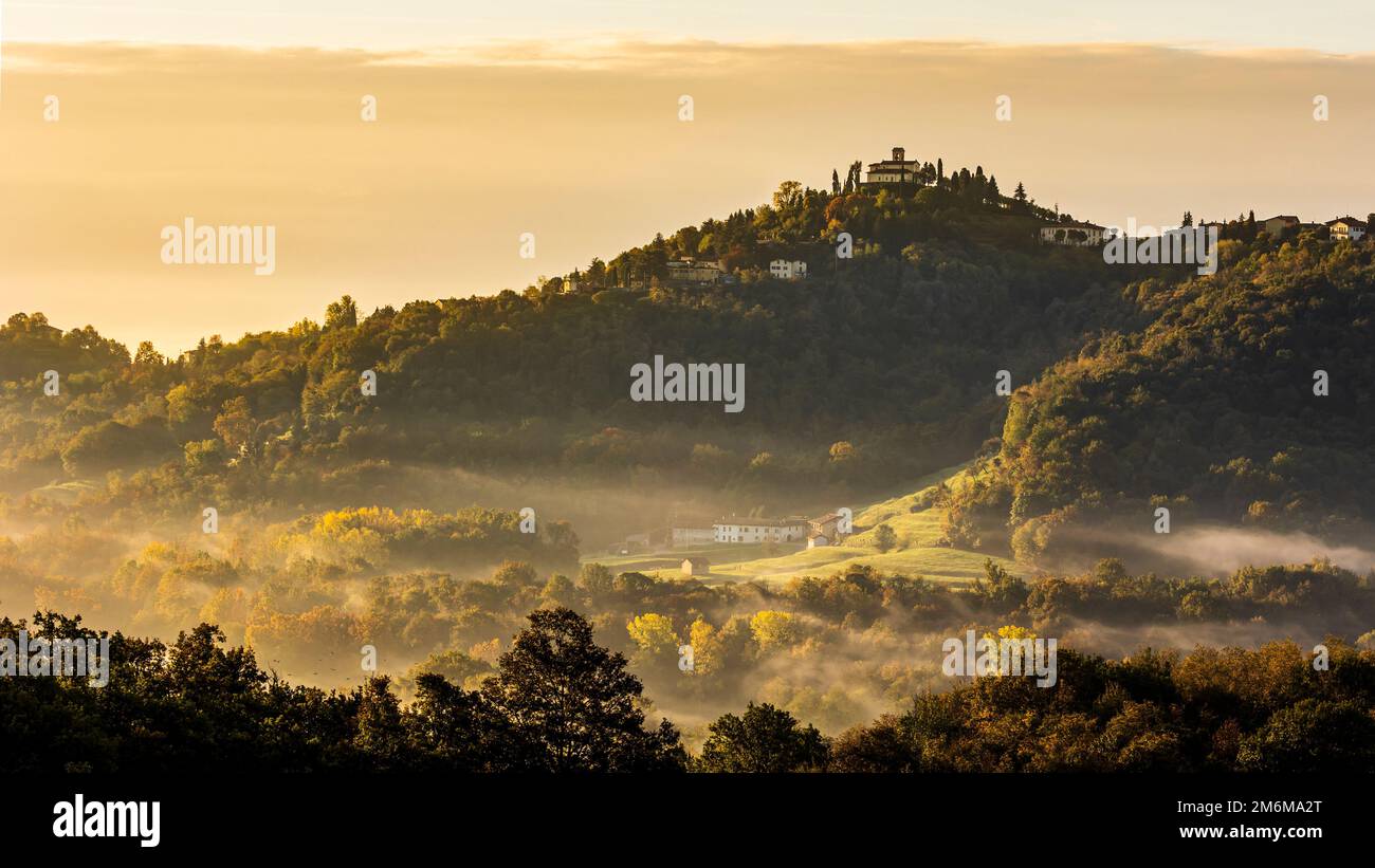Excursion in the Curone park, shooting in the early hours of dawn in ...