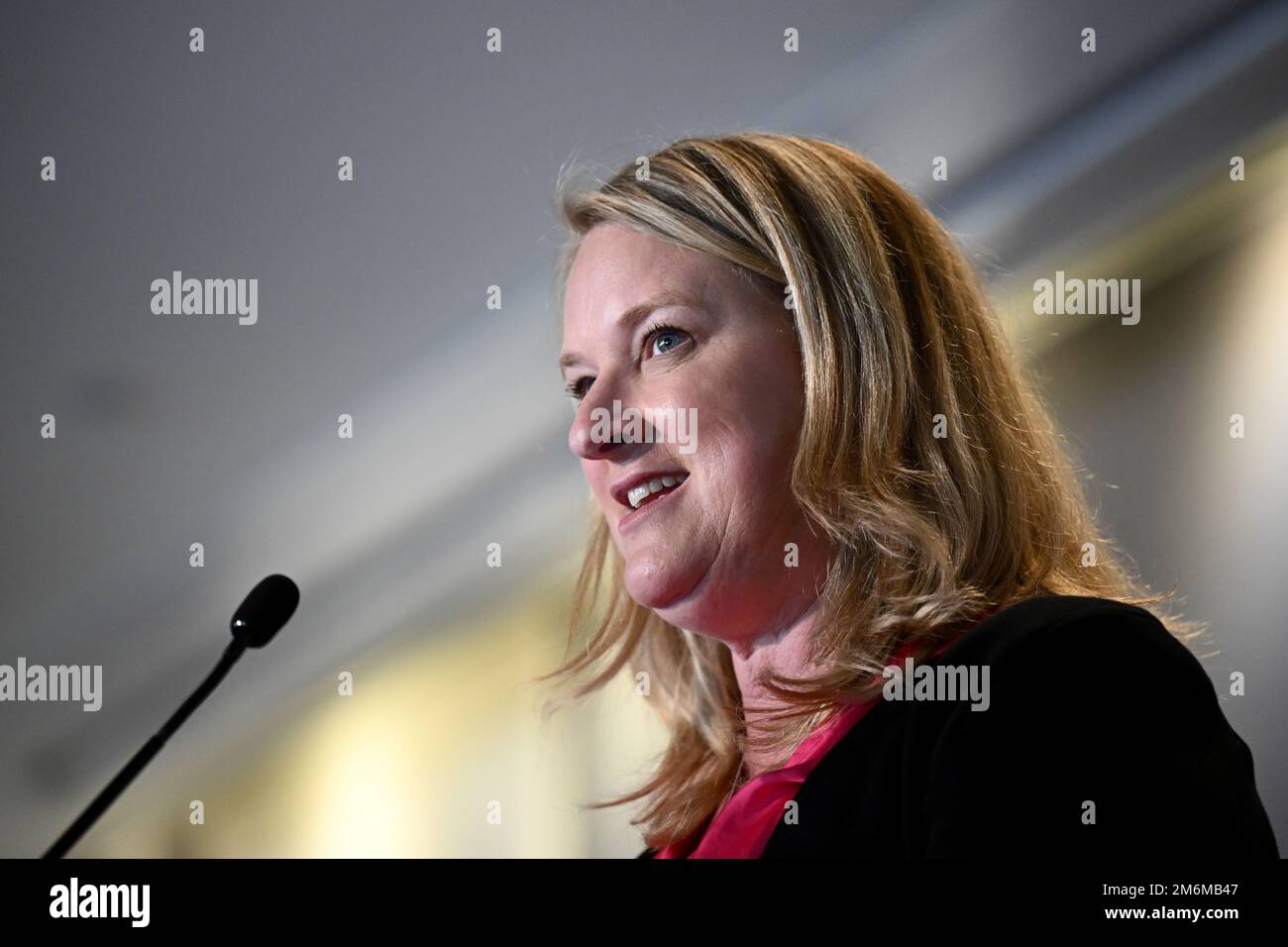 Federal Independent MP Kylea Tink speaks during the NSW State Energy ...