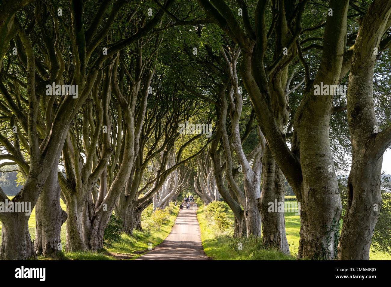 Armoy hi-res stock photography and images - Alamy