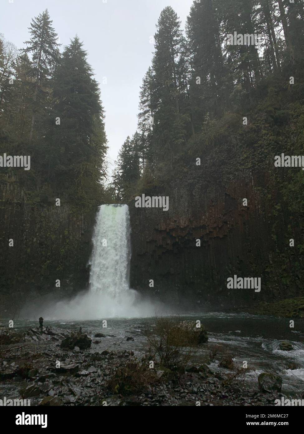 A vertical shot of a splashing waterfall in the green forest Stock ...