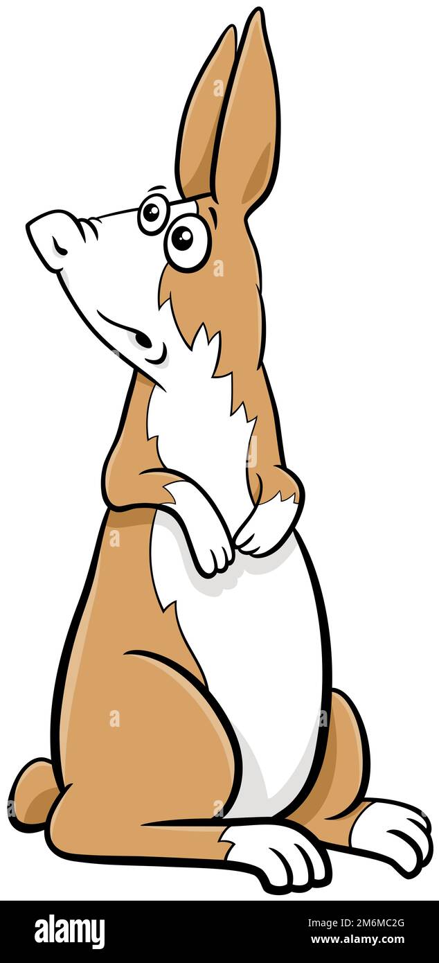 Cartoon dwarf rabbit comic character standing up Stock Photo - Alamy