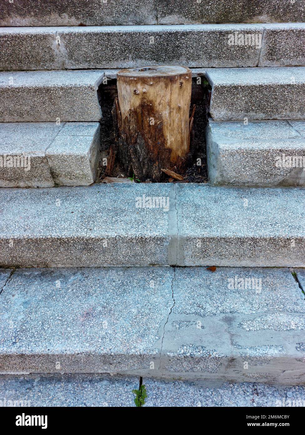 City and nature integration hi-res stock photography and images - Alamy