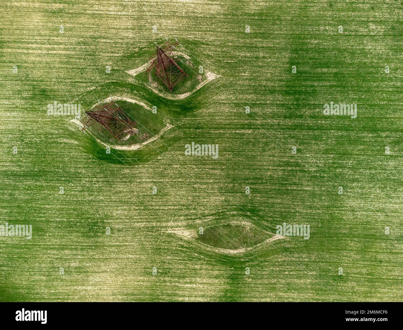 Power pylons in green field. Aerial view on Green wheat field with ...