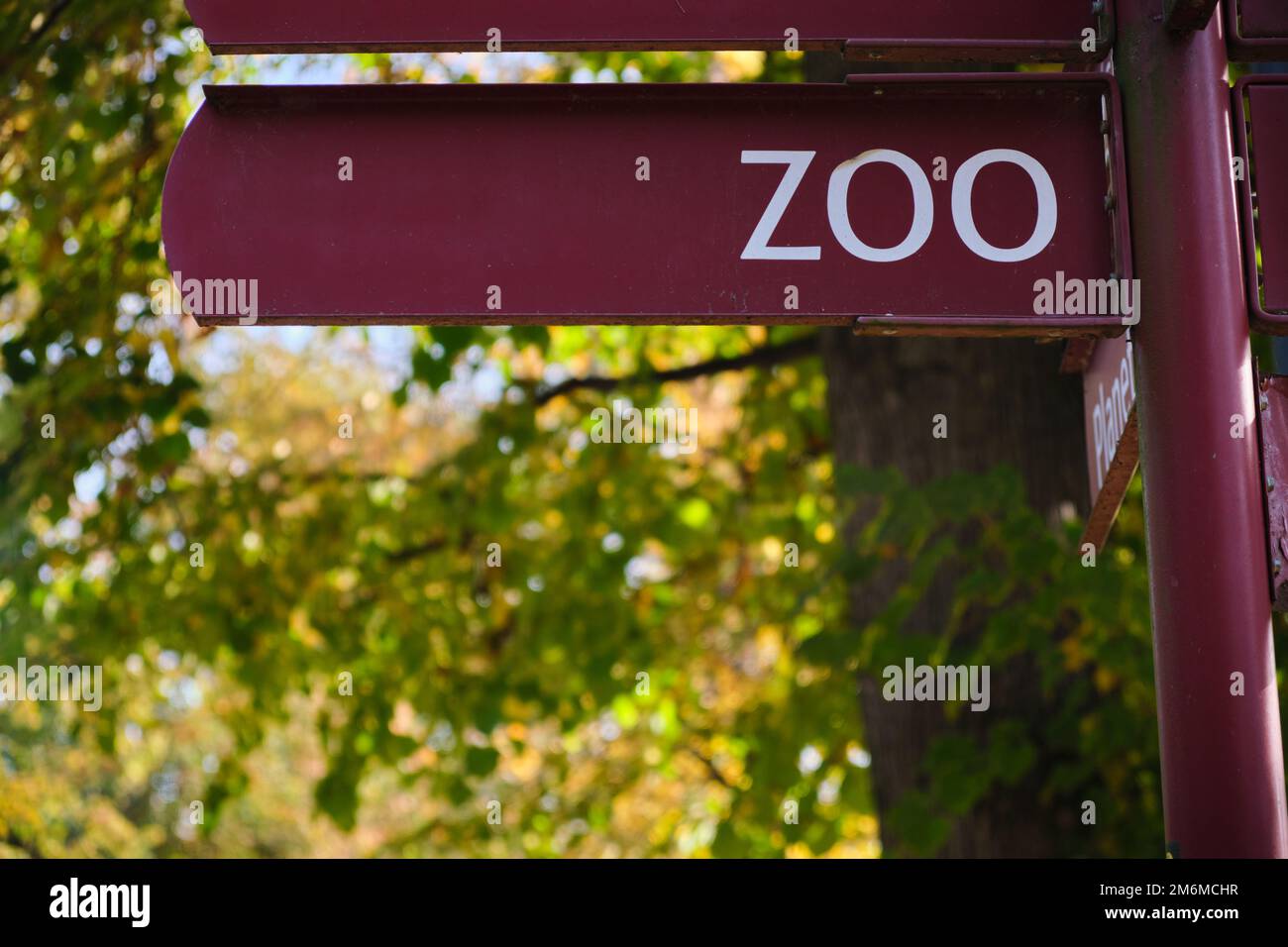 symbol sign direction arrow sign indicating the location zoo Going to ...