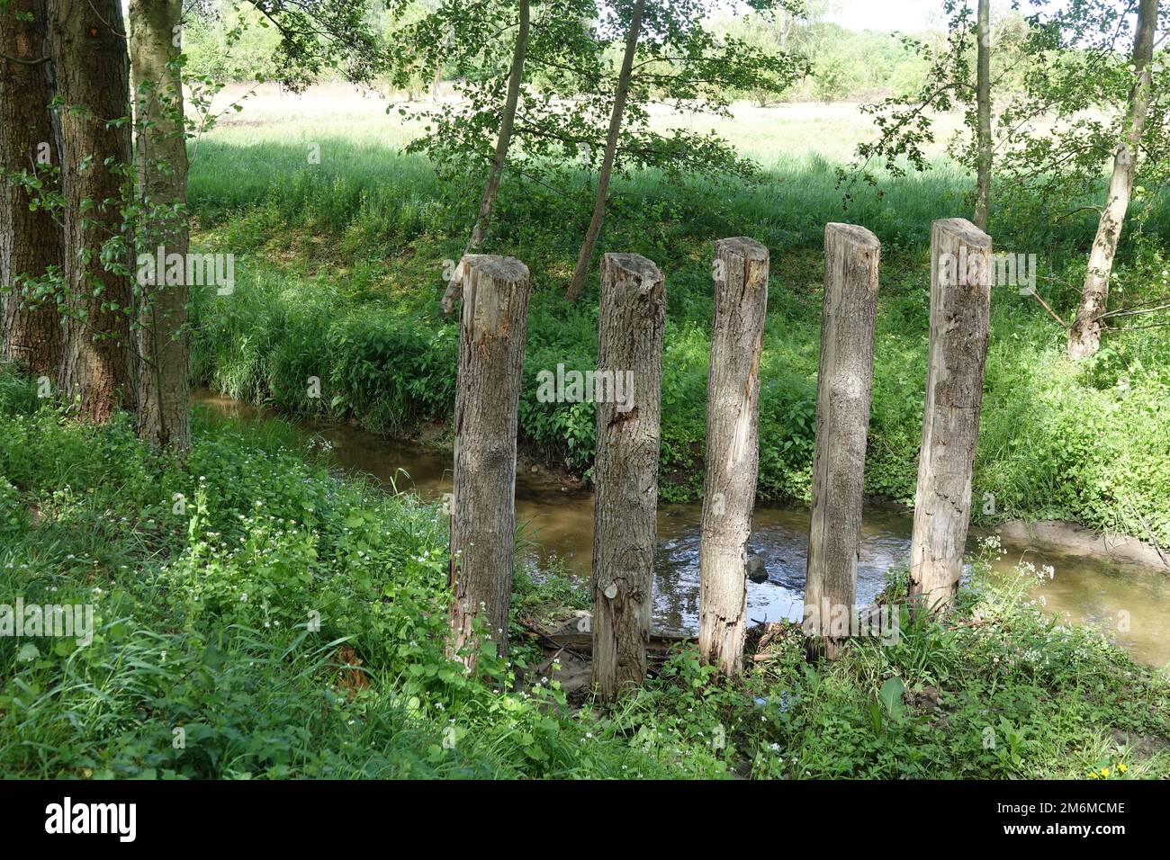 Rodau hi-res stock photography and images - Alamy