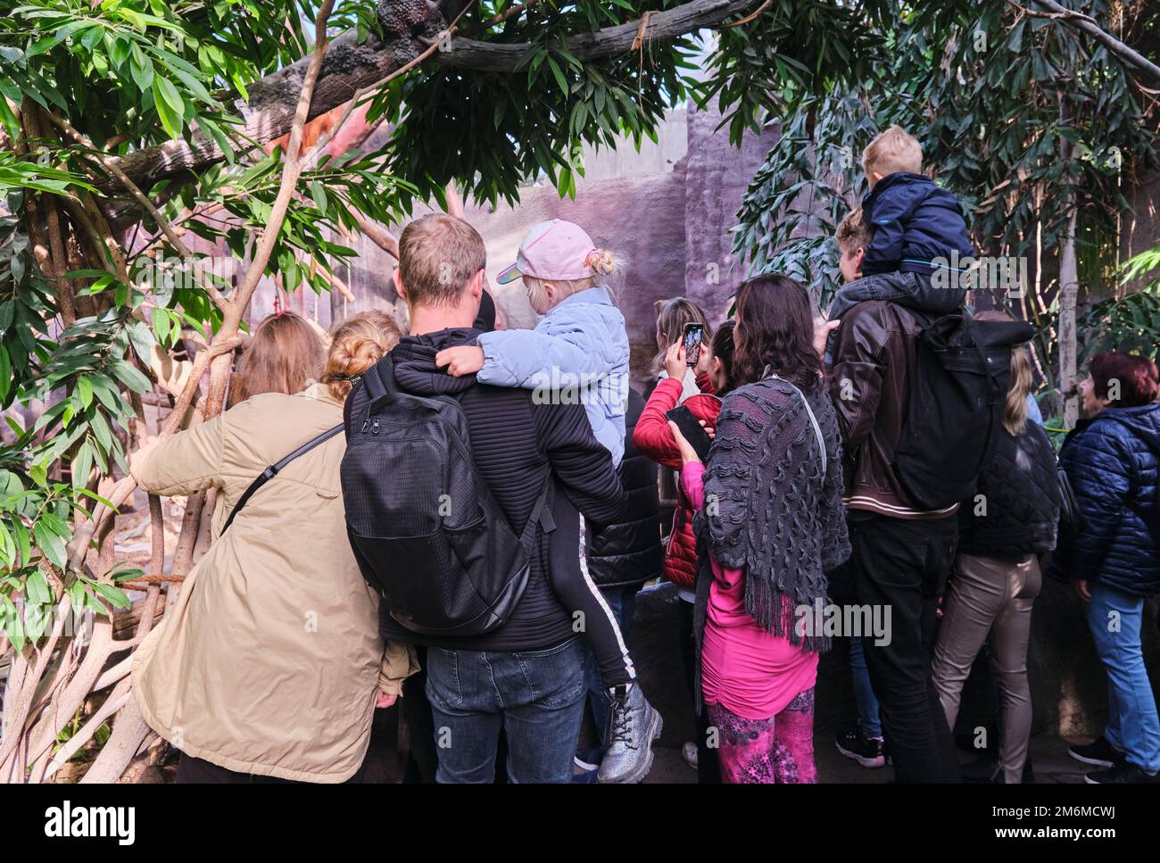 A group of Tourists visit zoo Praha people looking at animals Stock ...