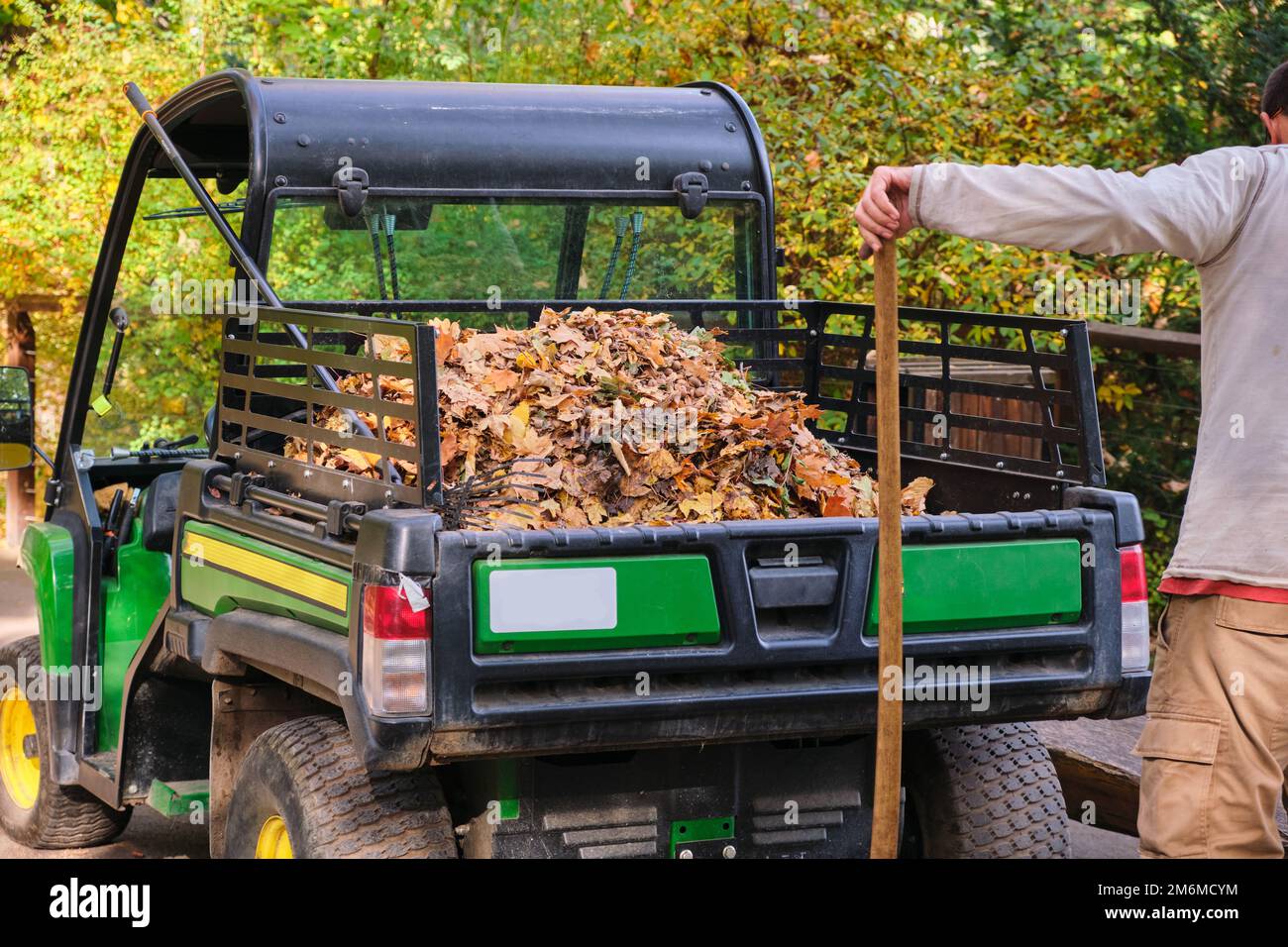 fall leaves Cleaning up Municipal worker cleans pavement walkway ...