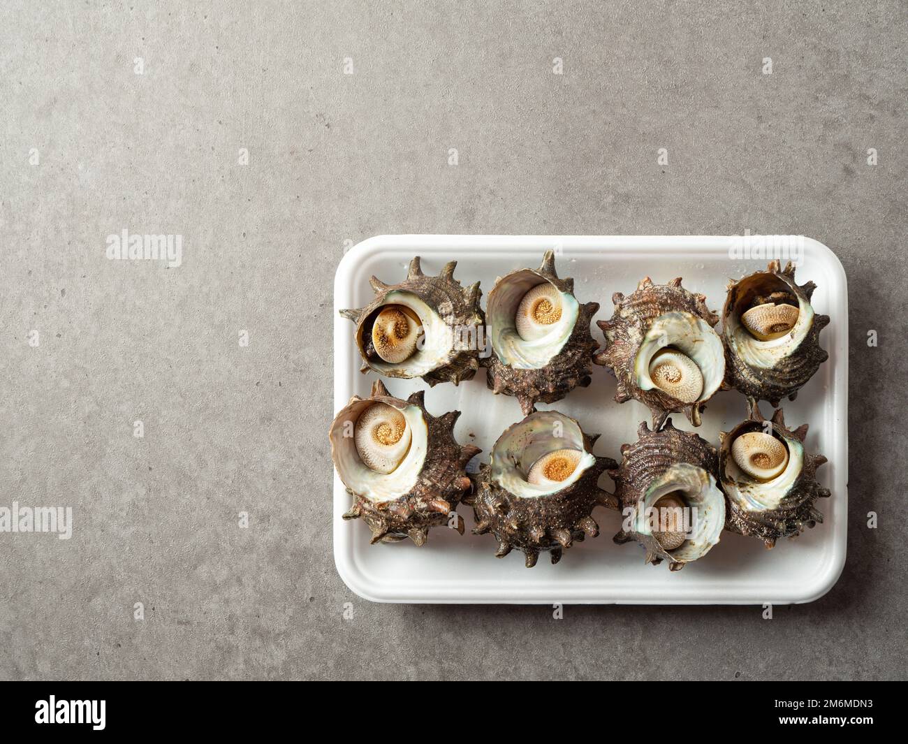 fresh murex in packaging container Stock Photo - Alamy