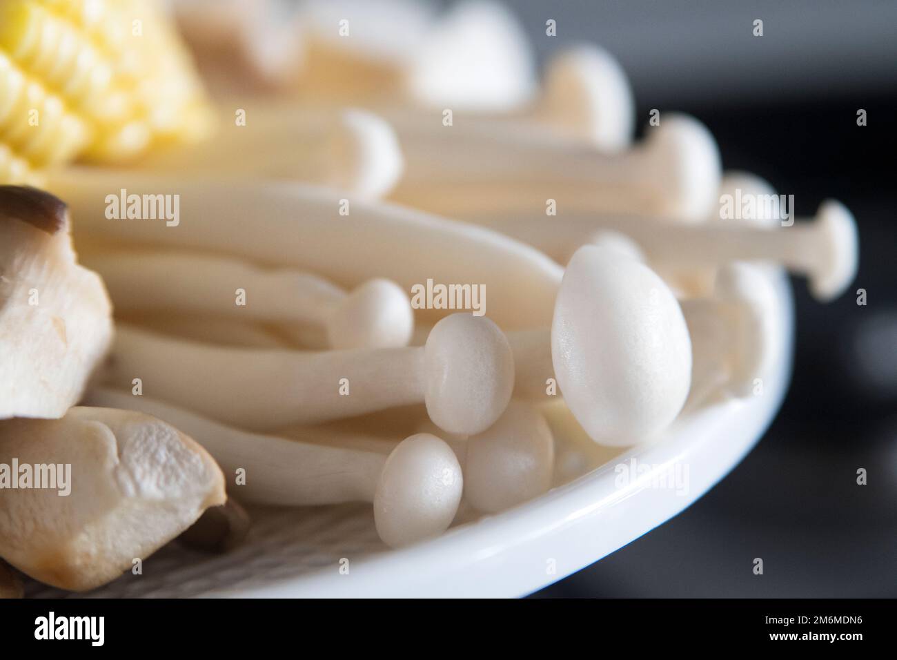 Bunch of Shimeji mushrooms on a plate They have small round caps and ...